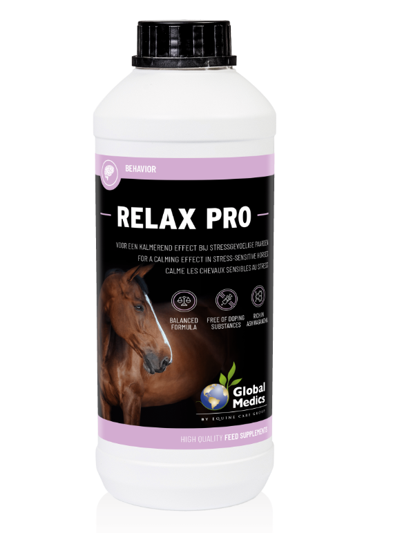 Relax Pro – Rider Basics MX