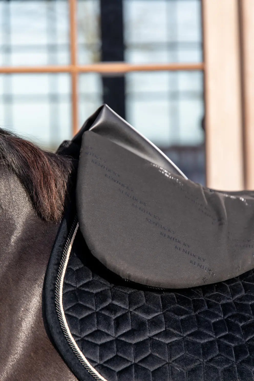 Half Pad Correction Impact – Rider Basics MX