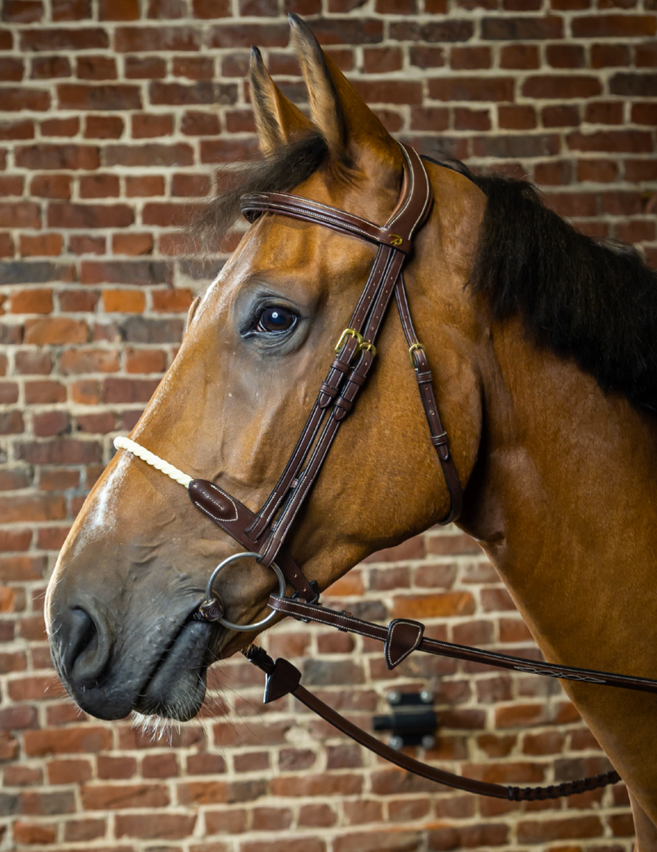 Rope noseband bridle - DYON COLLECTION – Rider Basics MX